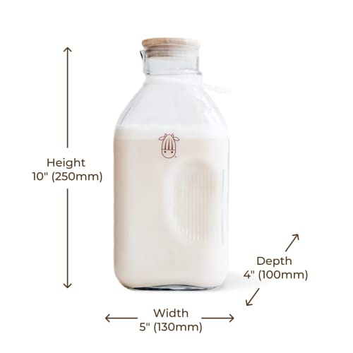 Almond Cow - Glass Pitcher with Lid and Spout, Bottle for Refrigerator, Clear Milk Jug , Food-Grade Glass Liquid Container, 60 fl oz Capacity, 5 x 4 x 10 Inches