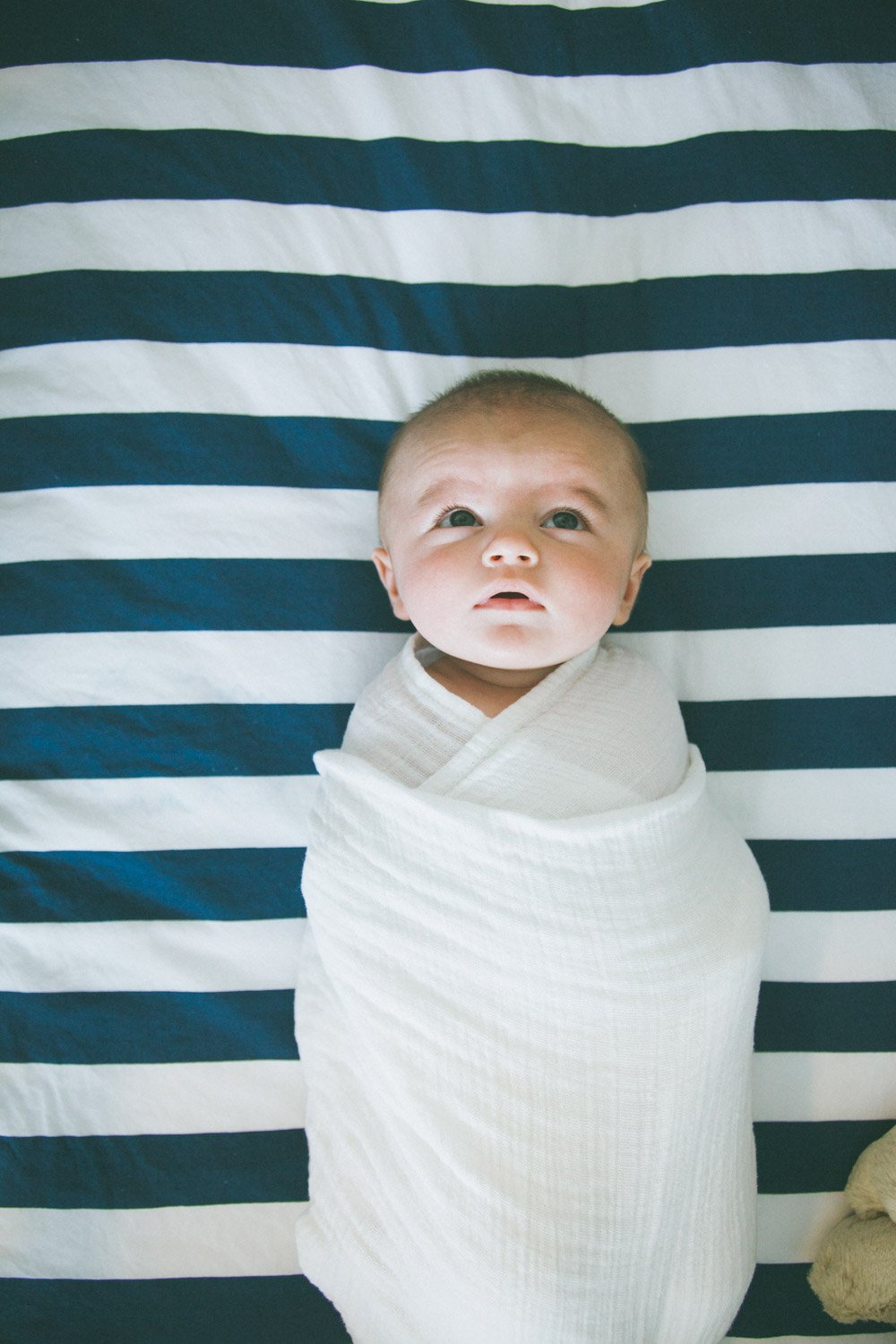 Little Unicorn Cotton Muslin Fitted Sheet - Navy Stripe