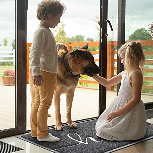 BeneathYourFeet Door Mat (30"x17.5",Dark Grey), Durable Welcome Mat Low Profile Floor Mat Front Doormat Non Slip Mats for Entryway, Patio, High Traffic Areas