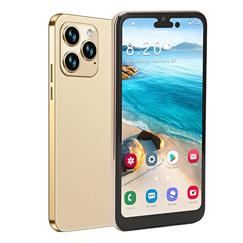 Dilwe 6.1'' Pro Unlocked Cellphone, 4GB 64GB Dual SIM Card 4G Network Mobile Phone, Face ID Unlocked Smartphone for Android 11 4000mah Battery(6.1'' Black)