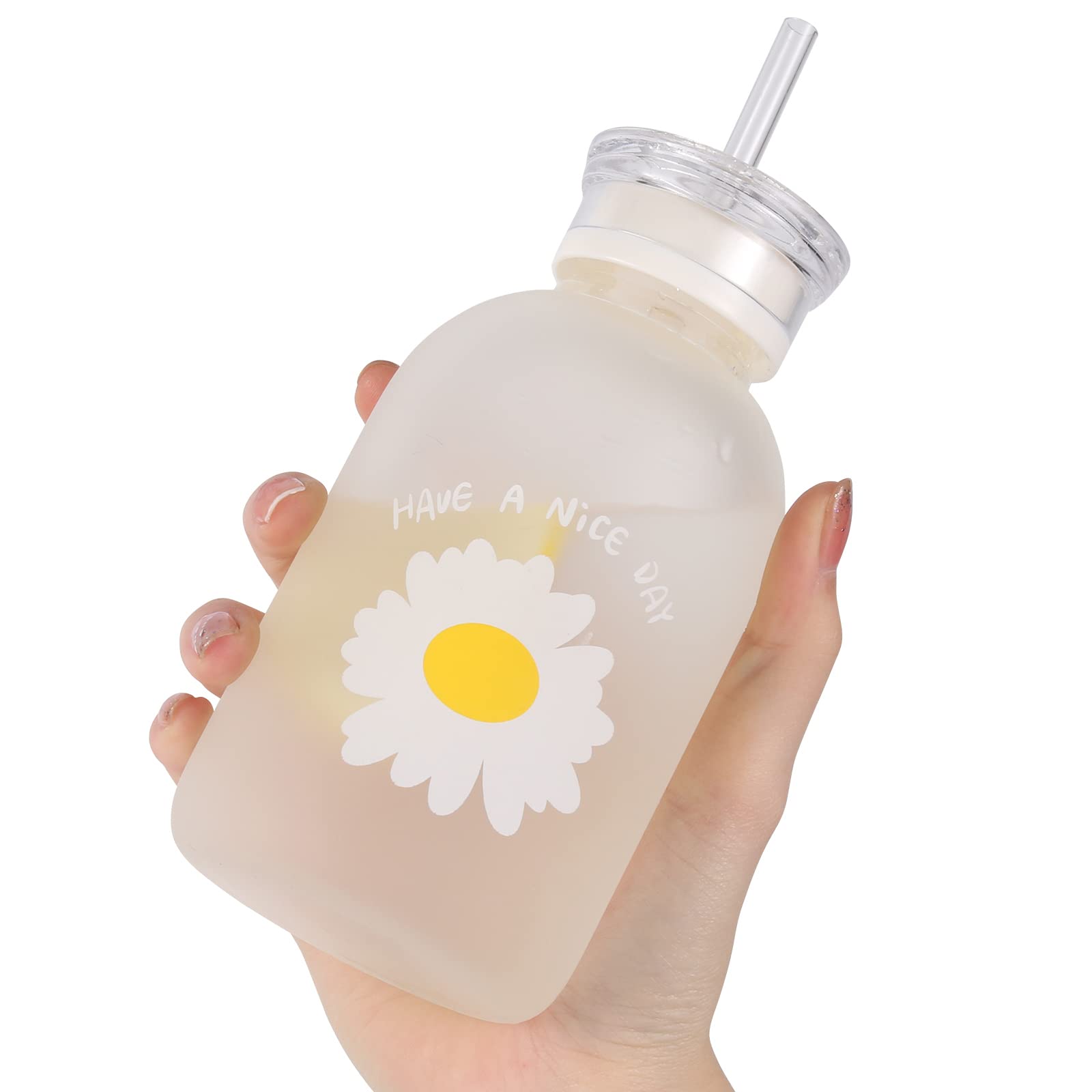 ASTROWORLD WISH YOU WERE HERE 16.9oz(480ml) Milk Juice Water Bottle with Scale,2 Lids and 2 straws Little daisy Matte Portable glass Water Cup, One Flower Grass Bottles Creative Handy Cup