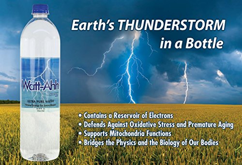 AquaNew's Watt-Ahh® - Premium Polarized Water for Energy and Health - Case of 12 - 1 Liter Bottles