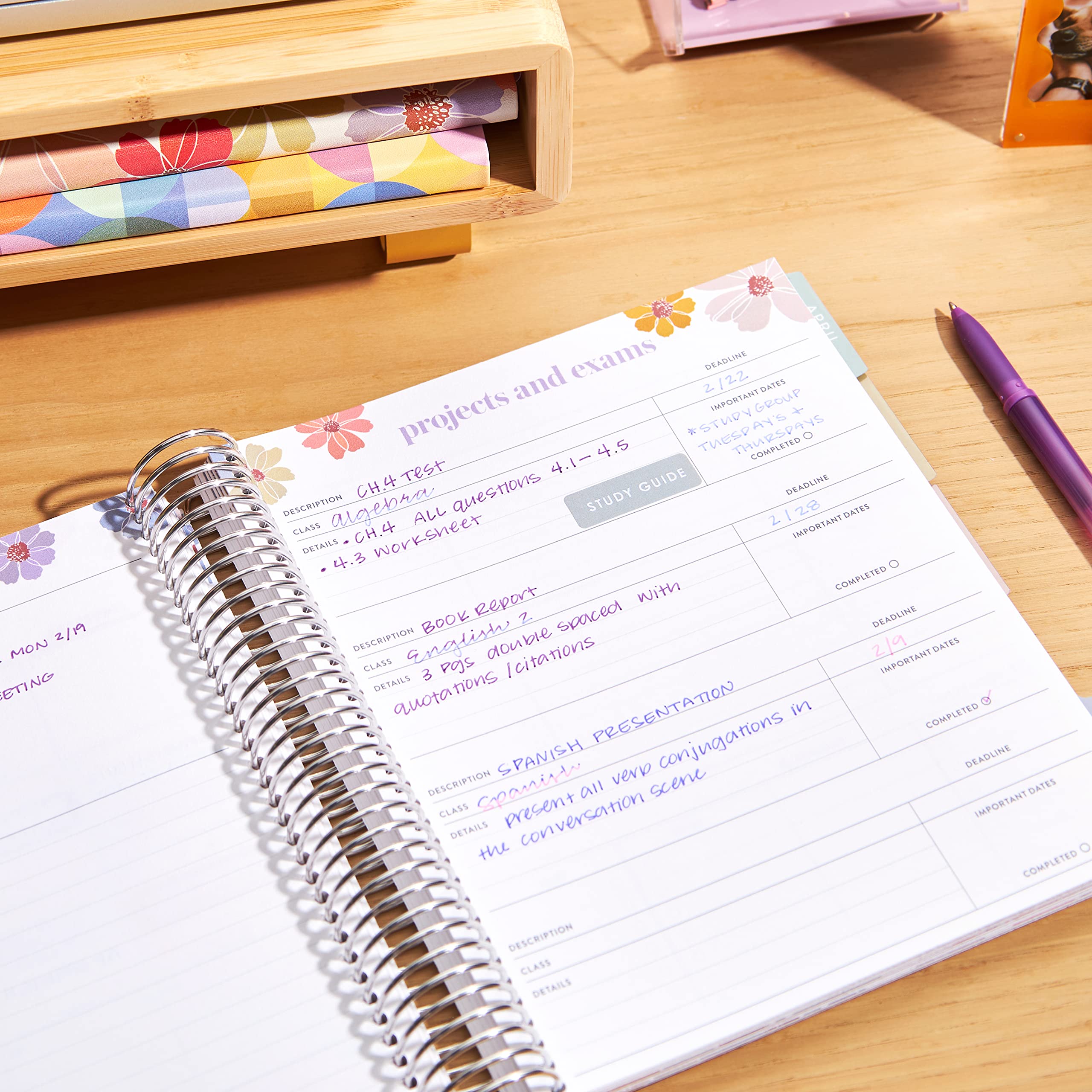 7" x 9" Academic 12 Month Planner Spiral Bound (July 2023 - June 2024) - Astrology Cover + Colorful Cosmos Theme. Pages for Class Schedule, Projects & Exams. 80 lb. Thick Paper - Erin Condren