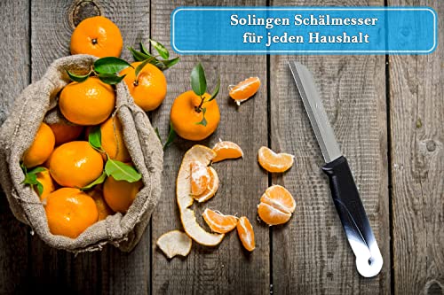 SMI β12 Pcs Paring Knife Set Vegetable Knife Serrated Fruit Knife Solingen Knife Made in Germany