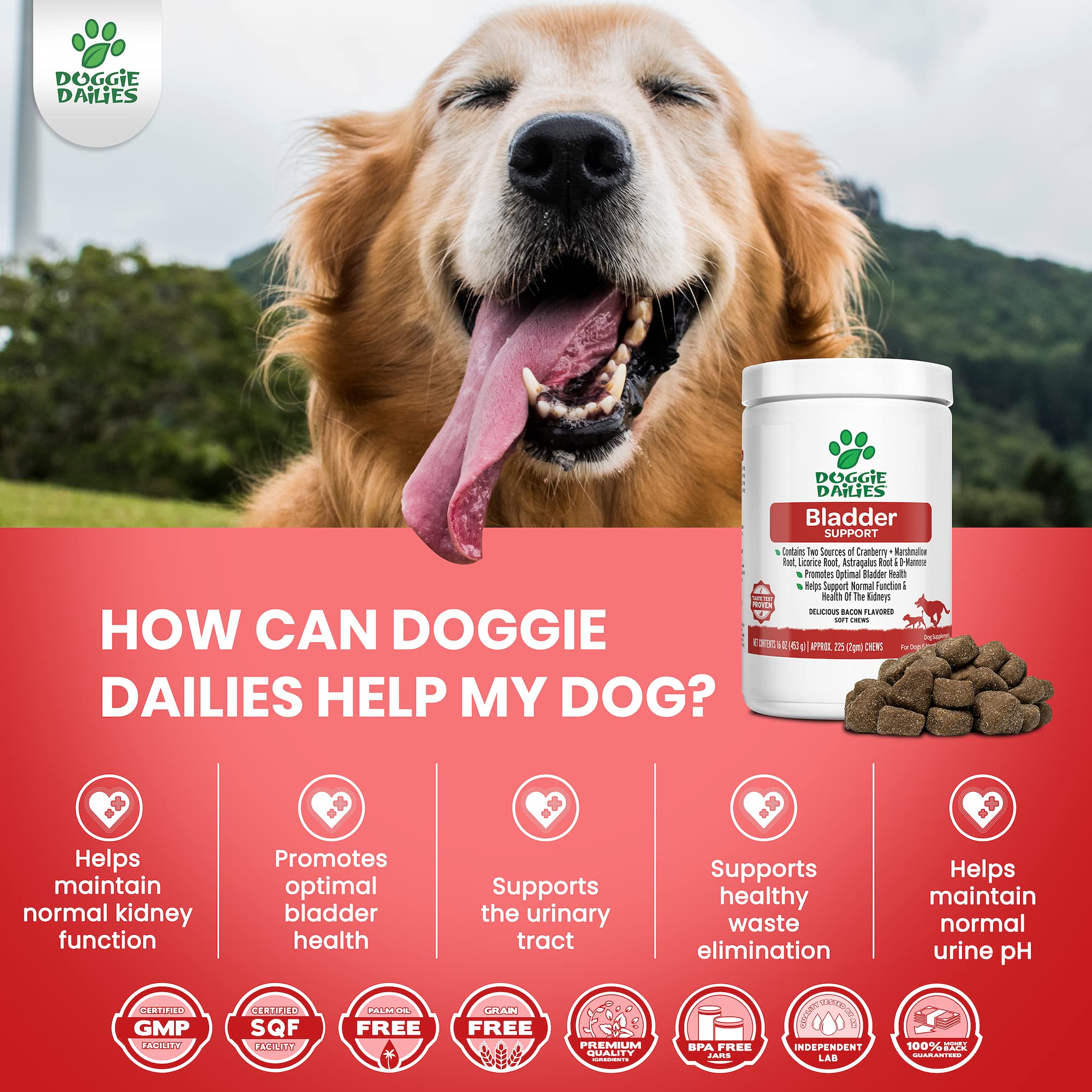 Doggie Dailies Cranberry Supplement for Dogs, 225 Soft Chews, Urinary Tract, Bladder & Kidney Support for Dogs, Cranberry for Dogs with Marshmallow Root, Licorice Root & Apple Cider Vinegar (Chicken)