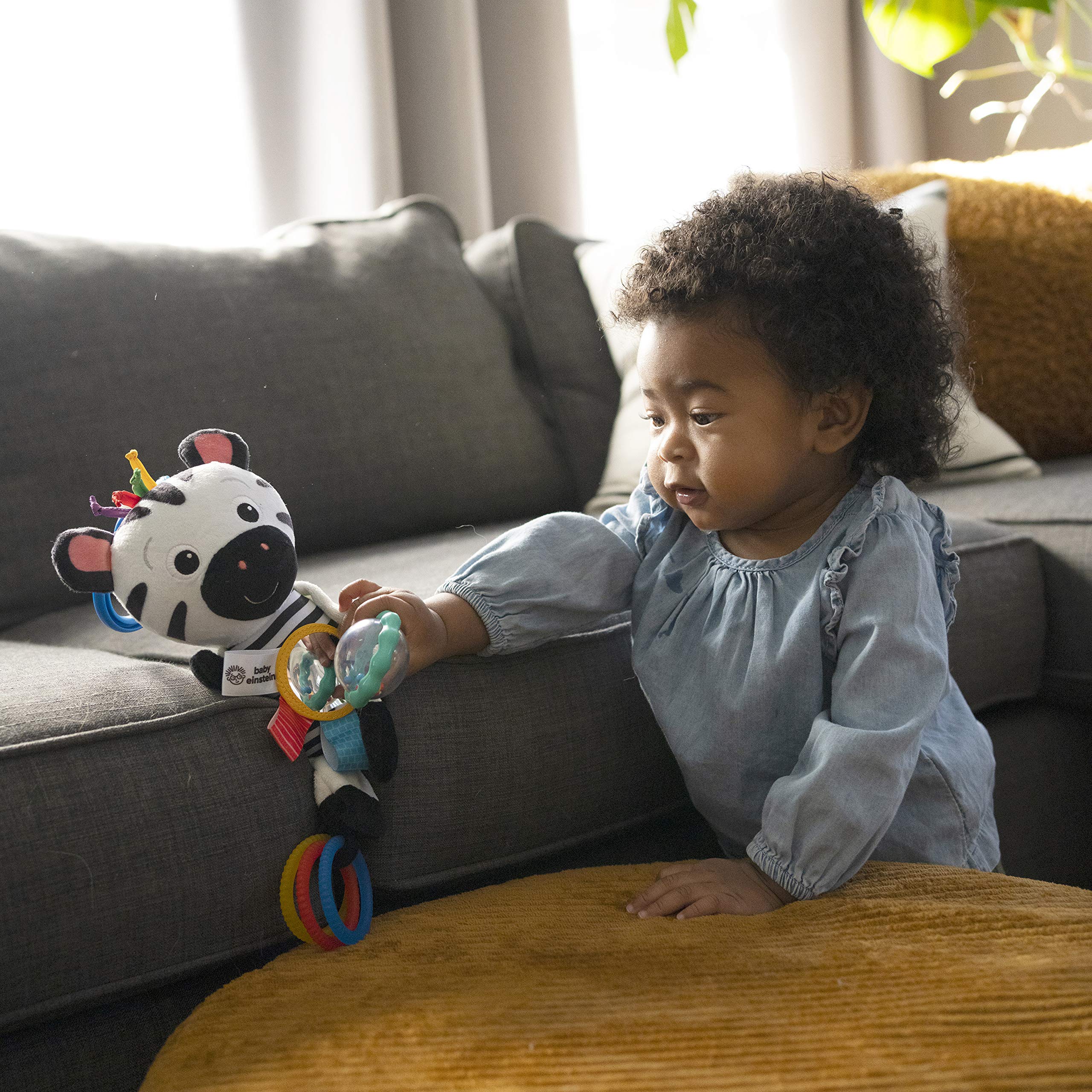Baby Einstein Zen's Sensory Play Plush Stroller Activity Toy, Ages Newborn, Multicolor,1 Count (Pack of 1)