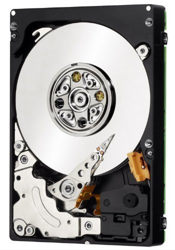 Western Digital 3.5-Inch 7200 RPM SATA 6 Gb/s 64 MB Cache 1 TB Desktop Hard Drive, Blue (WD10EZEX)