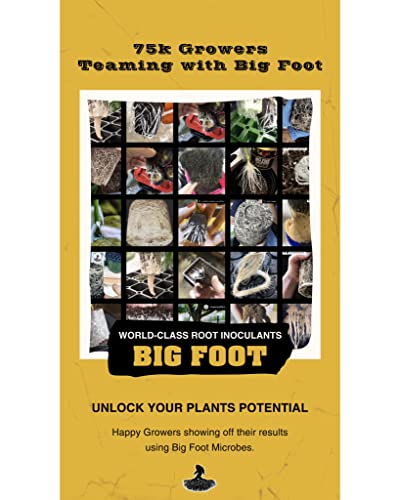 BIG FOOT GRANULAR Organic (2 lb )Mycorrhizae Fungi Inoculant with Plant Food Nutrient ingredients for Plant Root Growth, Use For Transplanting, 2 lbs