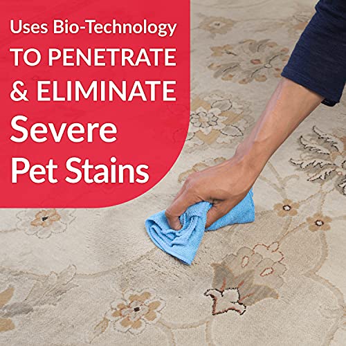 Simple Green Advanced Dog Stain & Odor Remover - Bacteria & Enzyme Cleaner for Large Dogs - Stain Remover for Carpet & Fabric β eliminates Urine Odor (32 oz Sprayer)