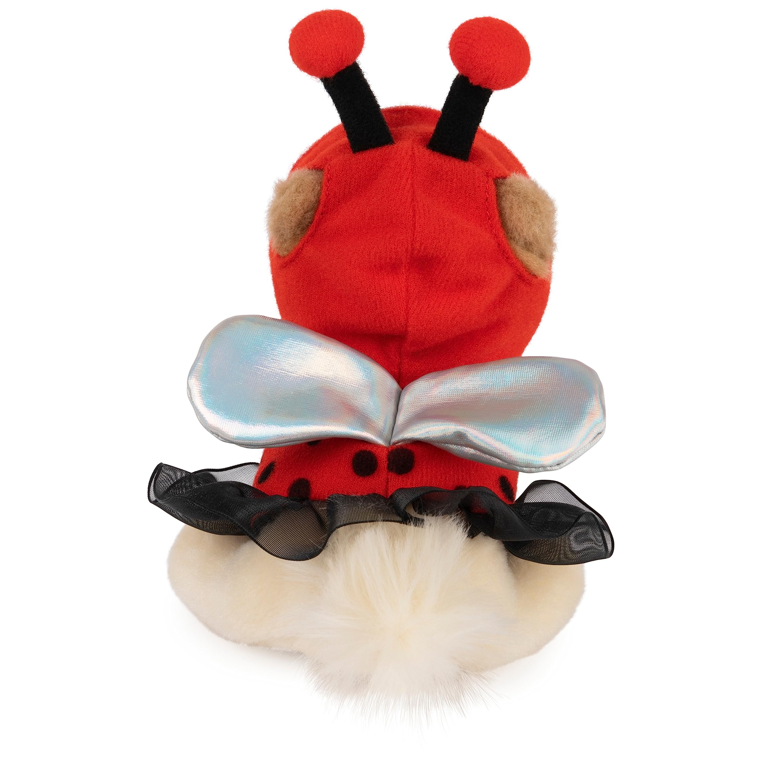 GUND Boo, The World’s Cutest Dog Ladybug Plush Pomeranian Stuffed Animal for Ages 1 and Up, 5”