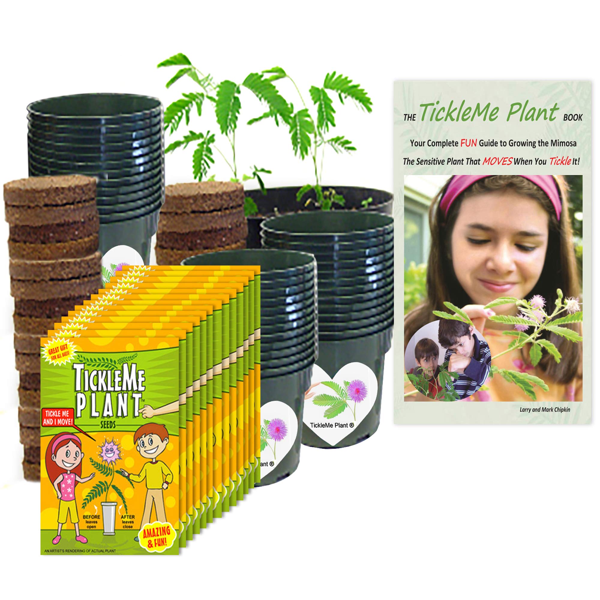 TickleMe Plant Classroom or Homeschool Science Fun Planting Party kit - for 30 Students - Grow The House Plant That Closes Its Leaves When You Tickle It. Includes Activity Book