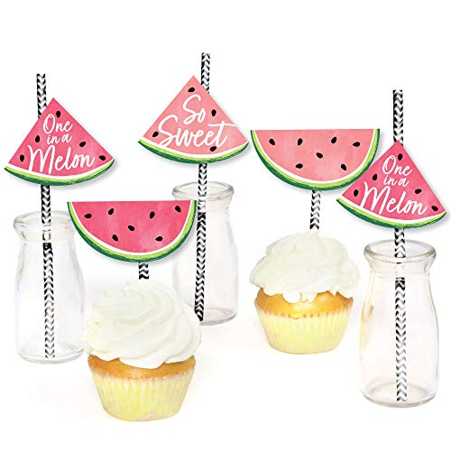 Big Dot of Happiness Sweet Watermelon - Paper Straw Decor - Fruit Party Striped Decorative Straws - Set of 24