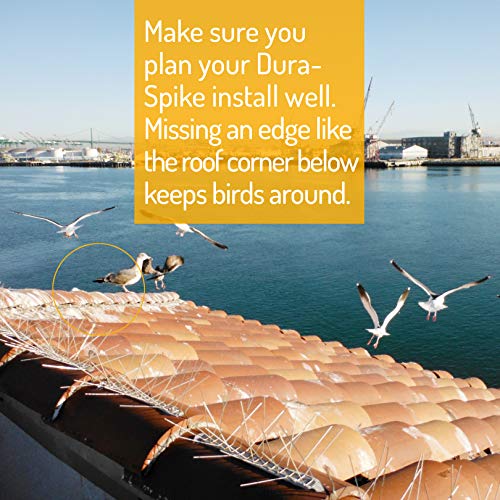 Bird Barrier Dura-Spike Stainless Steel Bird Spikes | Metal Pin Strips for Ledge, Roof, Pipe - Adhesive Included - Xtra Wide (8 in) 25 Ft. Length