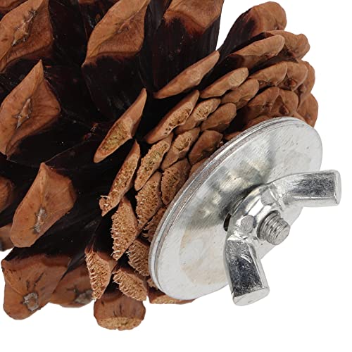 Bird Bite Pine Cones, Safe More Fun Natural Pine Cone Chewing Bird Toy Nut Fix Multifunction for Conure for Parakeet