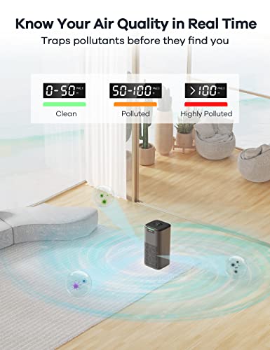 Welov P200S Air Purifiers for Home Large Room with An Extra H13 True HEPA Pet Care Filter Bundle