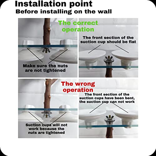 GJRGEG1Y Removable Window/Shower Perch Platform with Suction Cups for Bird Includes Stainless Steel Washer Robust and Stable Without Falling (Small)