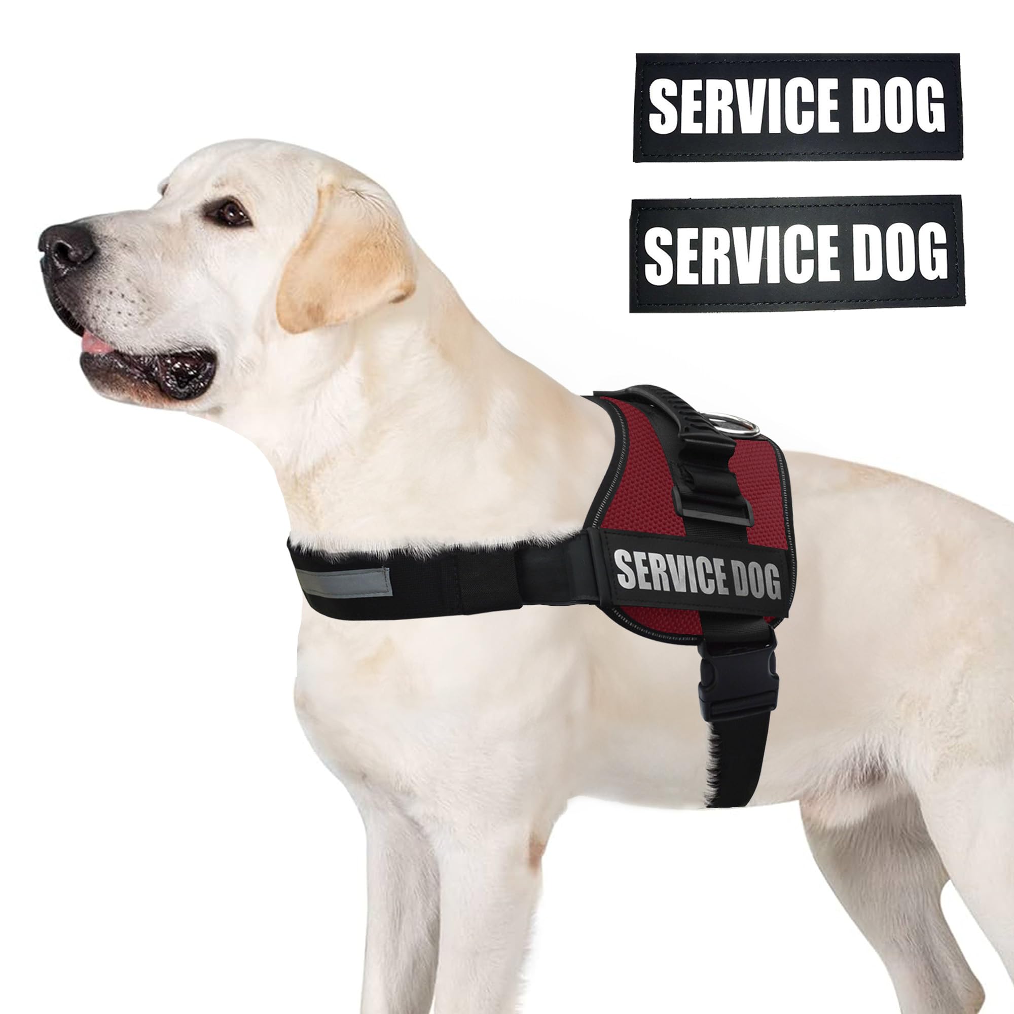 ALBCORP Service Dog Vest Harness - Reflective - Woven Polyester and Nylon, Comfy Mesh Padding - Sizes from XXS to XL β Service Dog Patches Included. Red Camo, Large