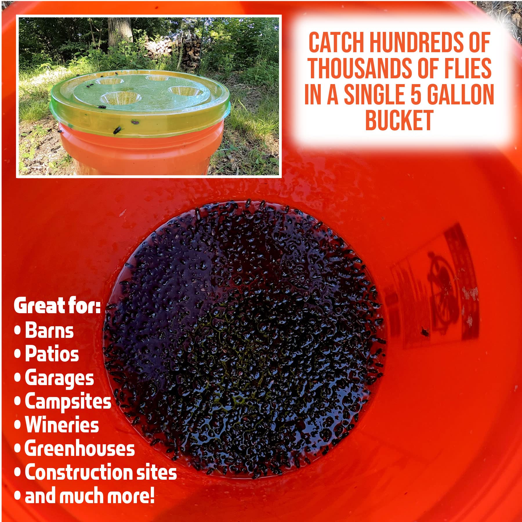 Billy-Bob Fly Lid Combo- Indoor Outdoor Eco Friendly Fly Control Pack - Includes 6 Fly-Lids (3-2 Packs) for Disposable Cups and 2 Fly-Lids for 5 Gallon Buckets