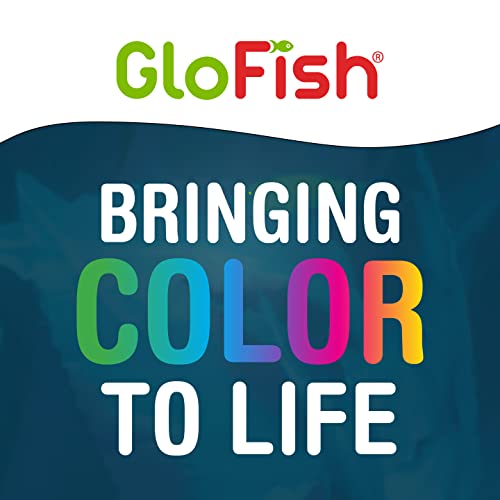 GloFish Aquarium Gravel, Fish Tank Gravel, Black With Fluorescent Accents, Compliments GloFish Tanks, 5 lb Bag