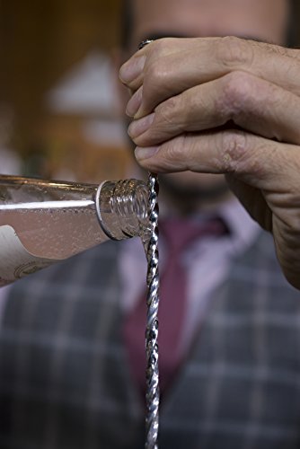 Crafthouse by Fortessa Professional Metal Barware/Bar Tools by Charles Joly, 12.5" Stainless Steel Twisted Bar Spoon