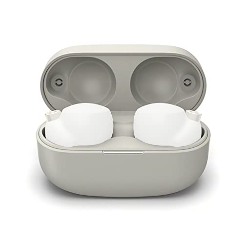 Sony WF-1000XM4 Replacement OEM Charging Case (Silver)