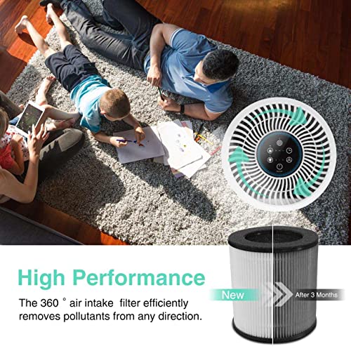 Tailulu Air Purifier Replacement Filter for D09 Air Cleaner, 3-in-1 True H13 HEPA Filter, High-Efficiency Activated Filter, 1 Pack