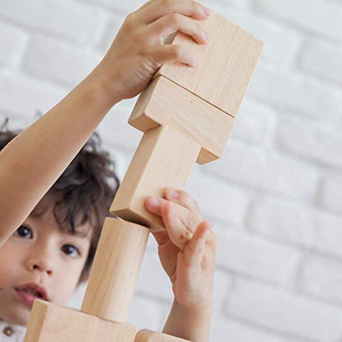 Amazon Basics Blocks 50 Unit Blocks, 2-Pack