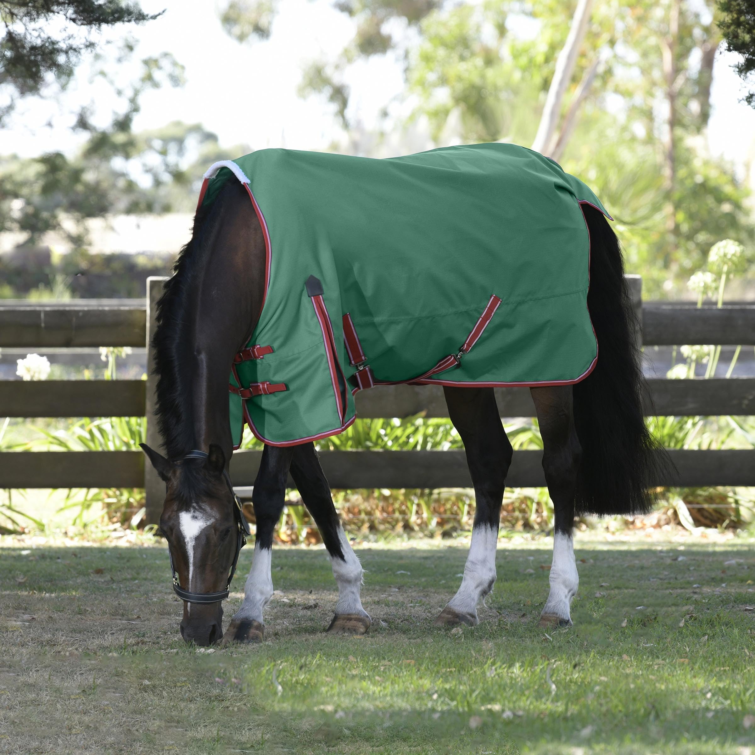 WeatherBeeta ComFiTec Prelim Standard Neck Lite Horse Blanket, Dark Green/Red/White, 78"