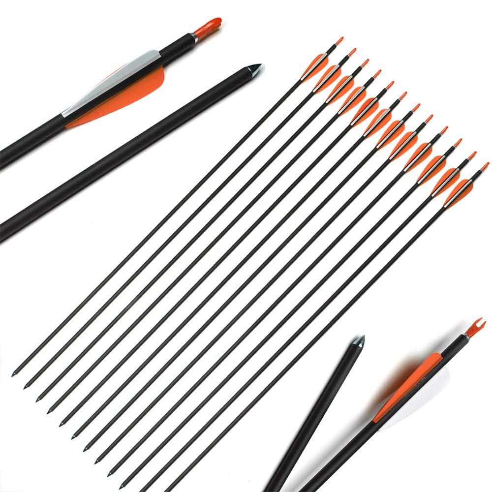 ANTISR 30" Carbon Arrows OD.275 with Interpolated Tips and Anti-Nail Nock for Compound & Recurve Bow(Pack of 12)
