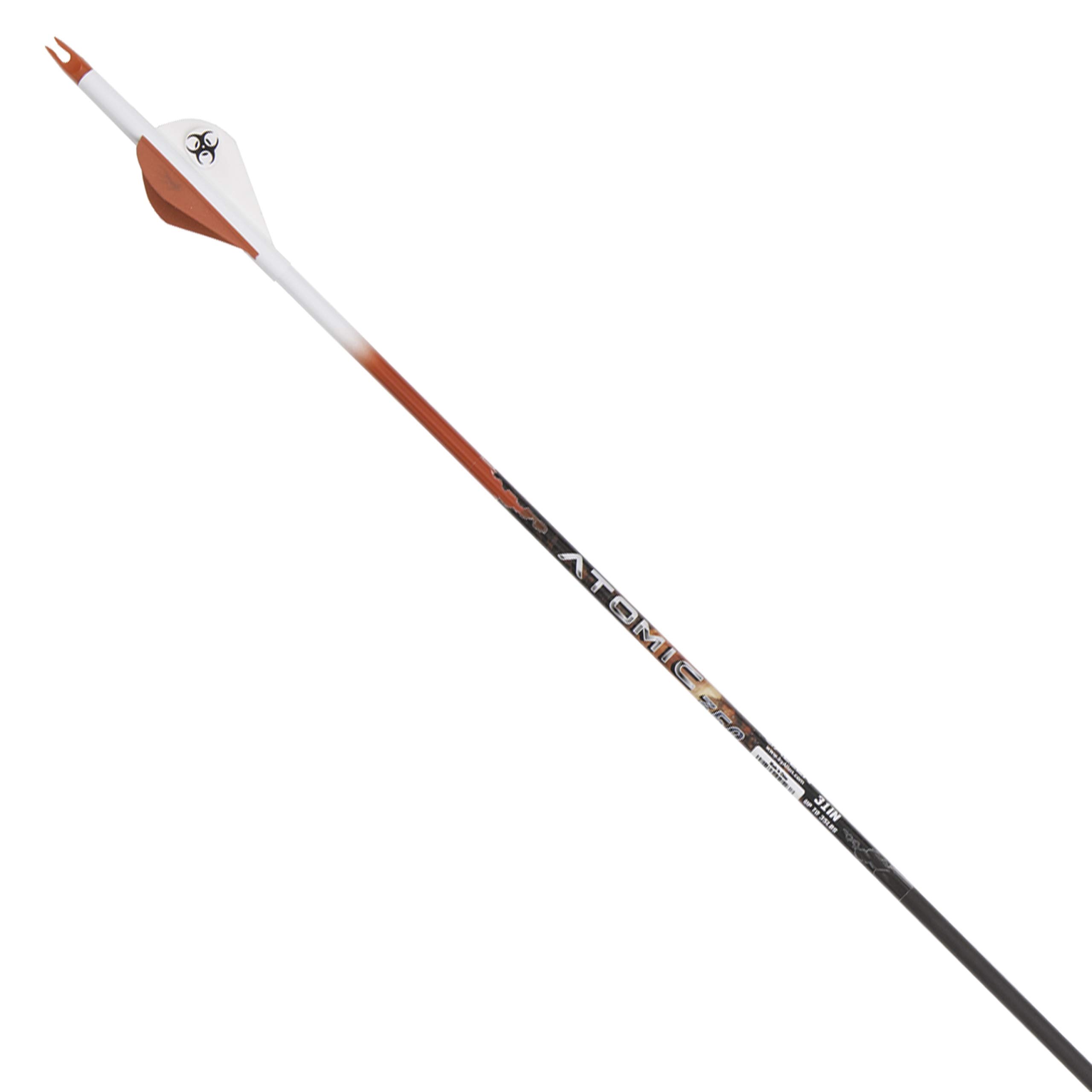 Allen Atomic 29" Carbon Arrows 4 Pack 29"