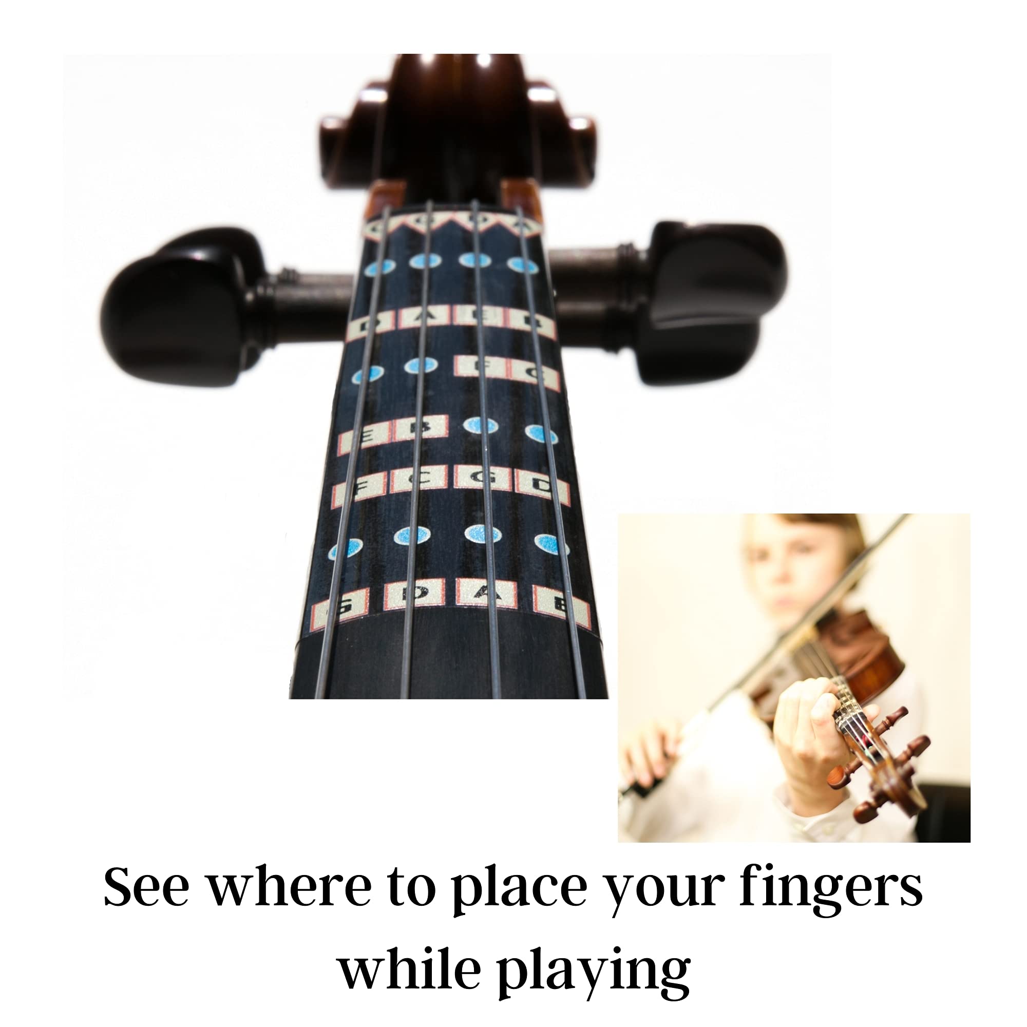 Fantastic Finger Guide for Violas | Stringed Musical Instruments | Fingerboard and Fretboard Stickers for Learning All Notes | Kids/Adult Beginner Viola Finger Guide |15.5" Size