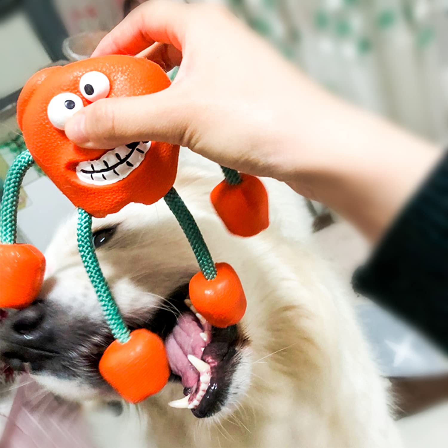 Dog Chew Toy Durable Dog Chew Toys for Puppy Small Large Dog Teeth Cleaning/Chewing/Playing (Orange Apple)
