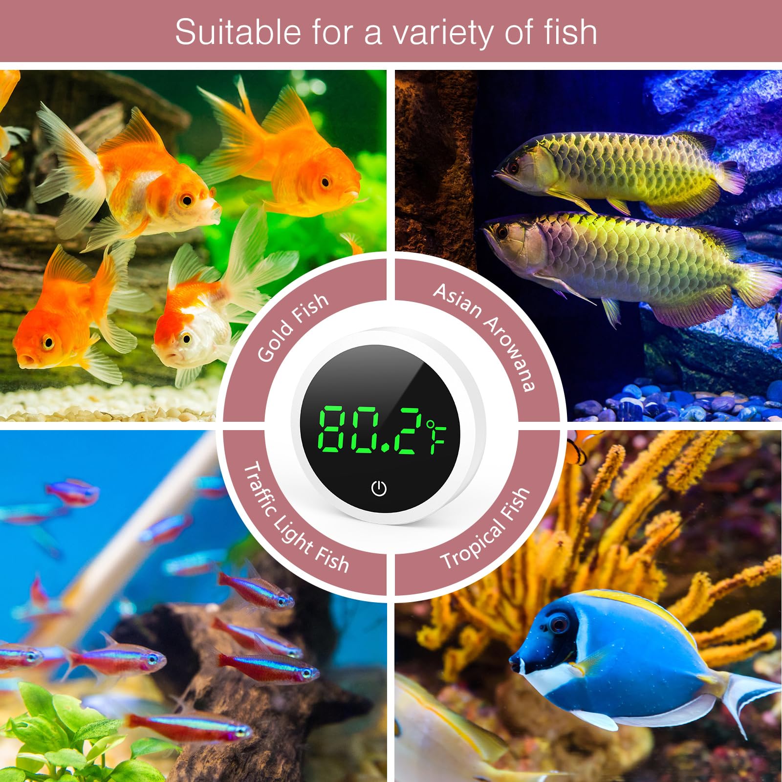 LOFICOPER Aquarium Thermometer, Digital Fish Tank Thermometer, Stick-on Reptile Thermometer with LED Touch Screen, Battery, for Fish, Aquatic Pets, Axolotl, Turtle, β