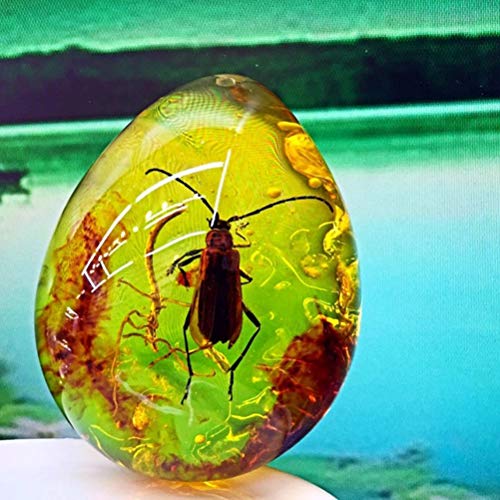 VORCOOL Amber Fossil with Insects Samples Stones Crystal Specimens Home Decorations Collection Oval Pendant for Kids (Random Pattern,8 x 6 x 1.8cm,1pc)