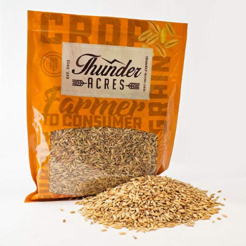 Thunder Acres Cat Grass Blend - Wheat, Barley, Oats, and Rye Seed Mix - Non-GMO - Certified Organic - Bonus CAT Toy (8 oz)