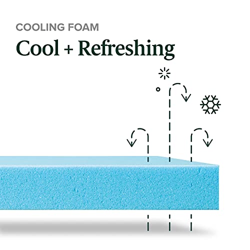 ZINUS 10 Inch Green Tea Cooling Gel Memory Foam Mattress and SmartBase Metal Mattress Foundation Set / Bed and Mattress Set / No Box Spring Needed / Mattress in a Box, Full