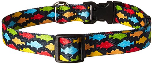Yellow Dog Design Rainbow Fish Black Dog Collar, Large-1" Wide fits Neck Sizes 18 to 28"