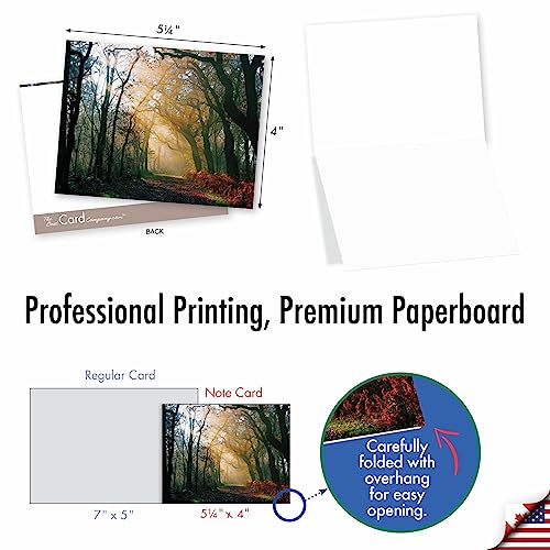 The Best Card Company - 20 Landscape Nature Note Cards Blank (4 x 5.12 Inch) (10 Designs, 2 Each) - Shining Through AM1735OCB-B2x10