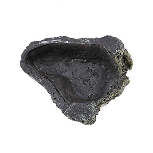 TOPINCN Fish Hiding Cave Aquarium Non-Toxic High Simulation Crawling Turtle Reptile Basking Hide Habitat Tank Decoration Ornament(Small)