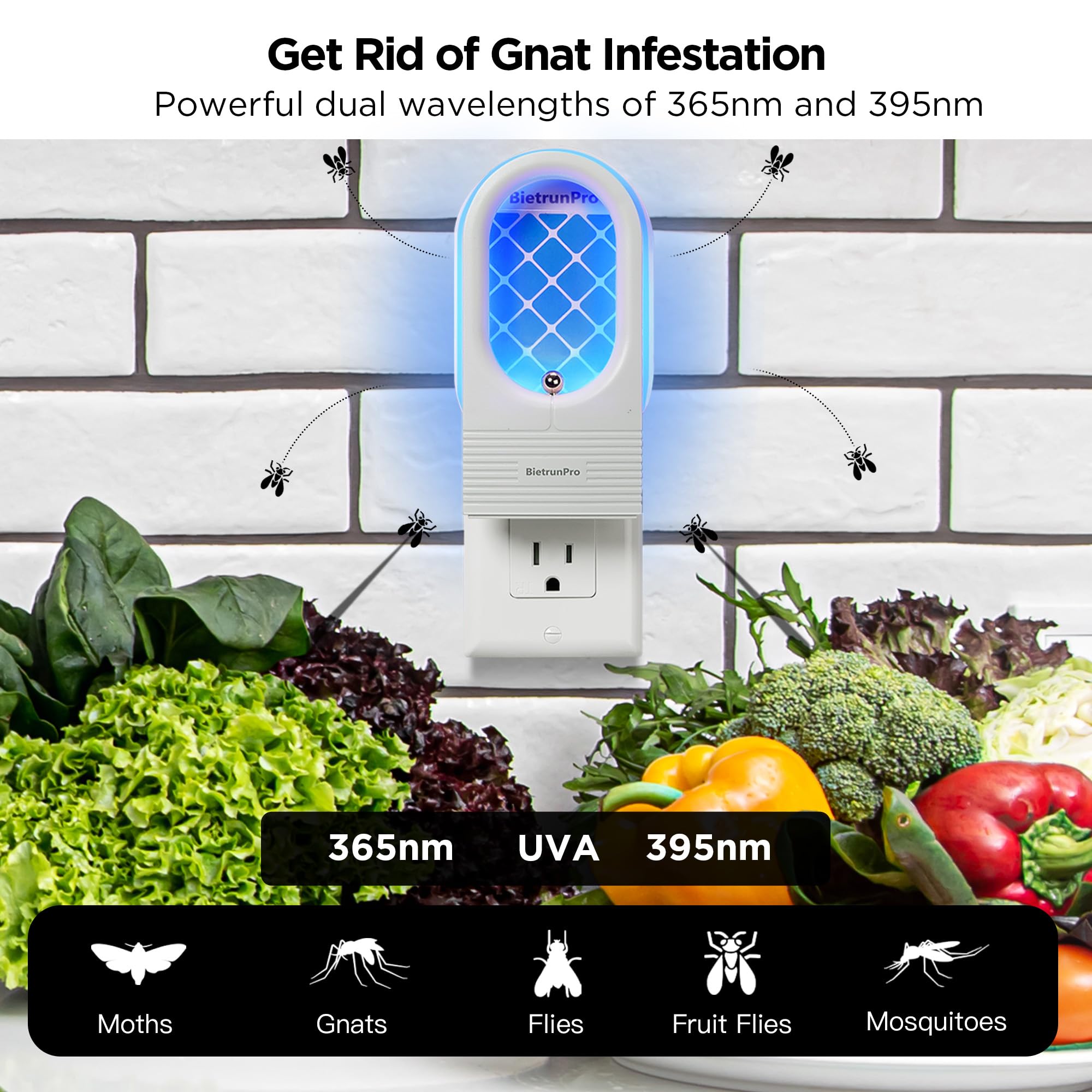 Fruit Fly Traps/Gnat Traps for Indoors, UV&Blue Light Plug-in Gnats Killer Bug Trap, NAT Killer, Flying Insect Catcher Trap for Fruit Flies, Moths, Mosquitoes, Fungus, Get Rid of Gnat Infestation
