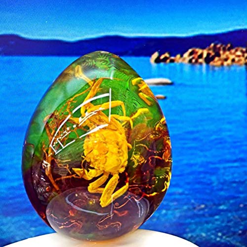 VORCOOL Amber Fossil with Insects Samples Stones Crystal Specimens Home Decorations Collection Oval Pendant for Kids (Random Pattern,8 x 6 x 1.8cm,1pc)