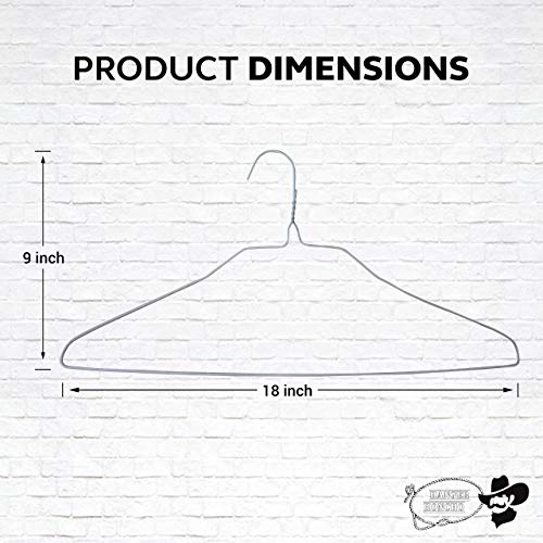 Wire Hangers in Bulk - 100 White Metal Hangers - 18 Inch Thin Standard Dry Cleaner Coated Steel