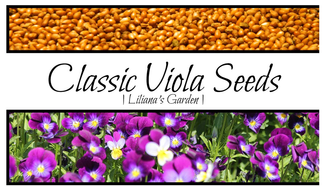 Viola Seeds – Classic Viola Colors aka “Johnny-Jump-Up” - Annual Heirloom Flower Seeds| Heirloom Seeds by Liliana's Garden |