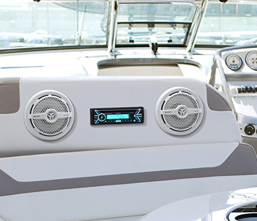 Sony XSMP1621 6 1/2-Inch coaxial 2-way Marine Speaker,White