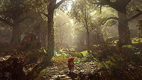 Ghost of a Tale : Collector's Edition - PS4 (PS4)