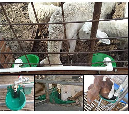 Yougoo Automatic Waterer Bowl Goats Waterer Sheep Drinking Water Bowl Livestock Drinker Bowl for Piglet Cattle Dog, Green