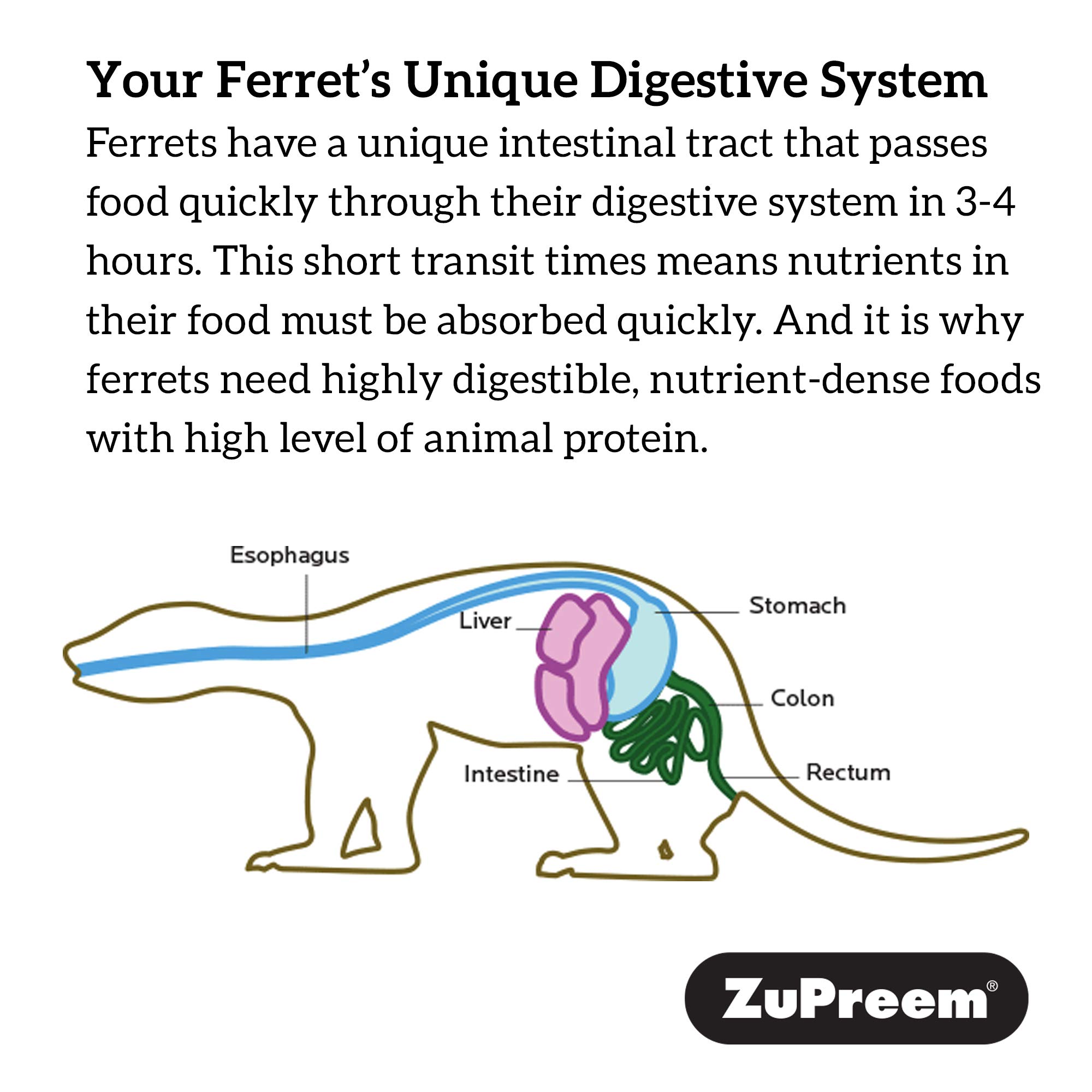 ZuPreem Premium Daily Grain Free Ferret Diet Food, 4 lb (3-Pack) - Nutrient Dense, Highly Digestible, High Protein Levels