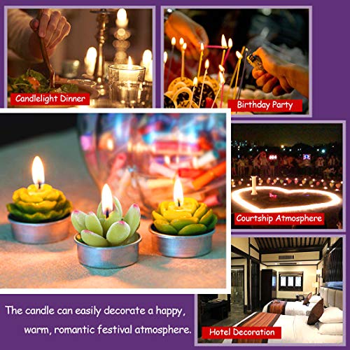 Swpeet 12Pcs Decorative Succulent Cactus Tealight Candles Kit, Cute Smokeless Succulent Plants Perfect for Candles Festival Wedding Props and House-Warming Party (N0.8-Candle)