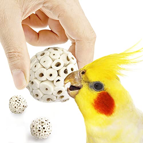 SunGrow Sola Atta Foraging Balls, 2β, White Soft Shred Parrot Chews, Bird Chewing Accessories for Conure, Budgie, Parakeet, Cockatiel, Rabbits, Hamsters, and Other Small Pets, 3 Pcs/Pack