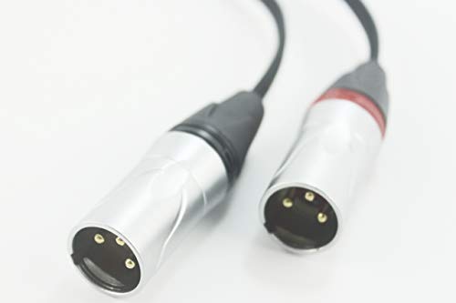 Youkamoo 2.5mm Trrs to Dual XLR Male Cable Balanced Audio Headphone Adapter Cable 1 FT 0.3M